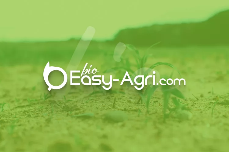Easy-Agri Bio, la plateforme officielle de vente en ligne et de ...